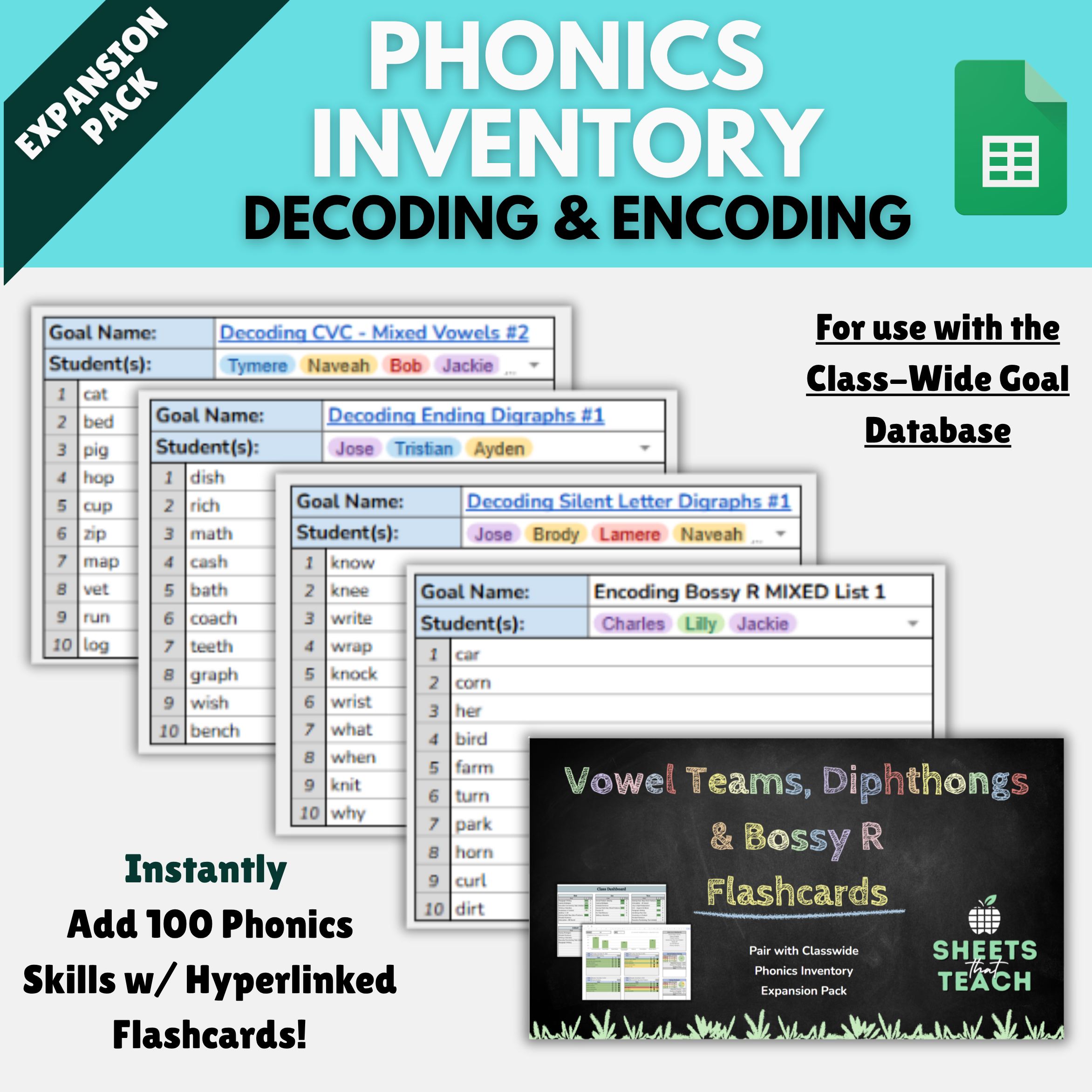 Goal Database Expansion Pack: Phonics Inventory (Decoding & Encoding G ...